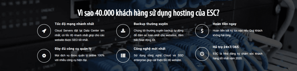Dịch vụ thiết kế website chuyên nghiệp
